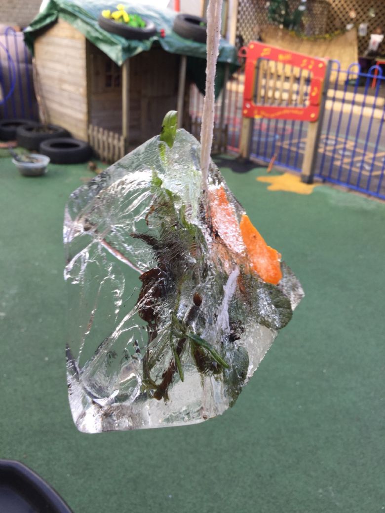 EYFS Snow Learning - Water Primary School