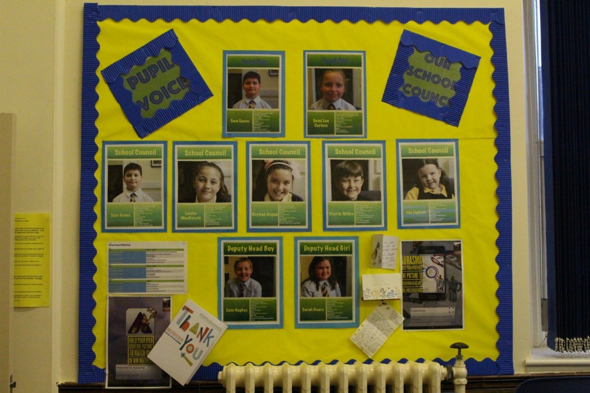 Pupil Voice Display Showcase - Water Primary School